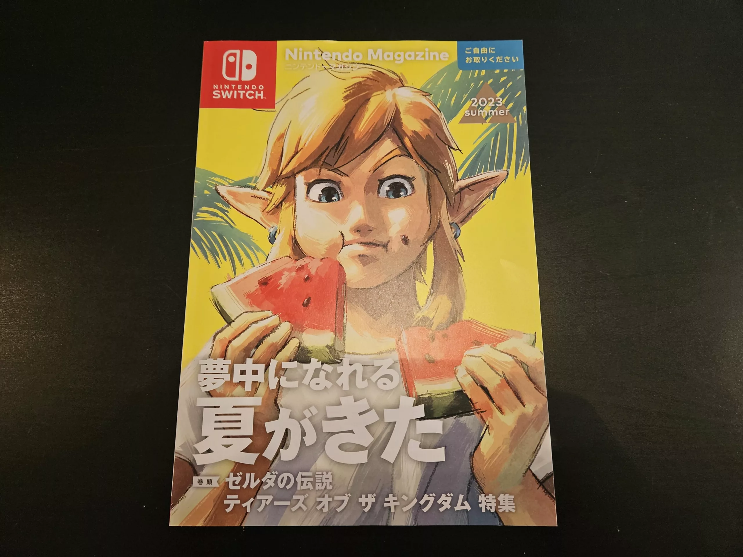 Nintendo Switch Magazine Summer 2023 - Gamecaz